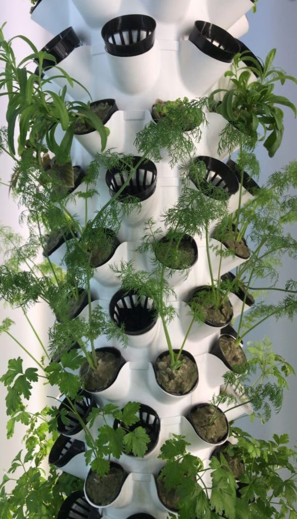 Dikey Tarım-Topraksız Tarım Kule Sistemi 40 Bitki